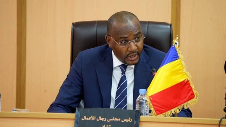 COOPÉRATION ÉCONOMIQUE : LANCEMENT DU CONSEIL D’AFFAIRES TCHADO ...
